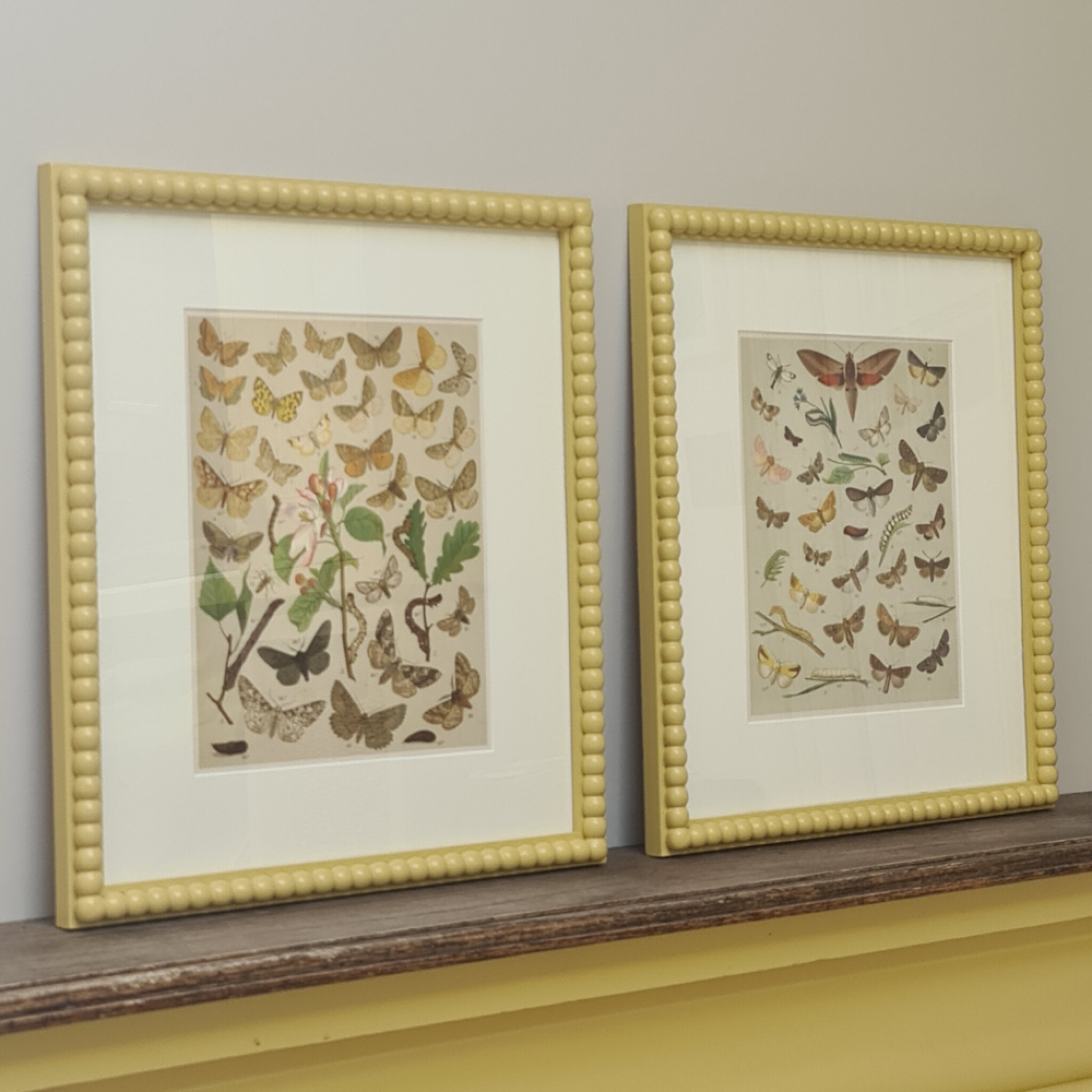 Bobbin frame | Hand Painted Frames