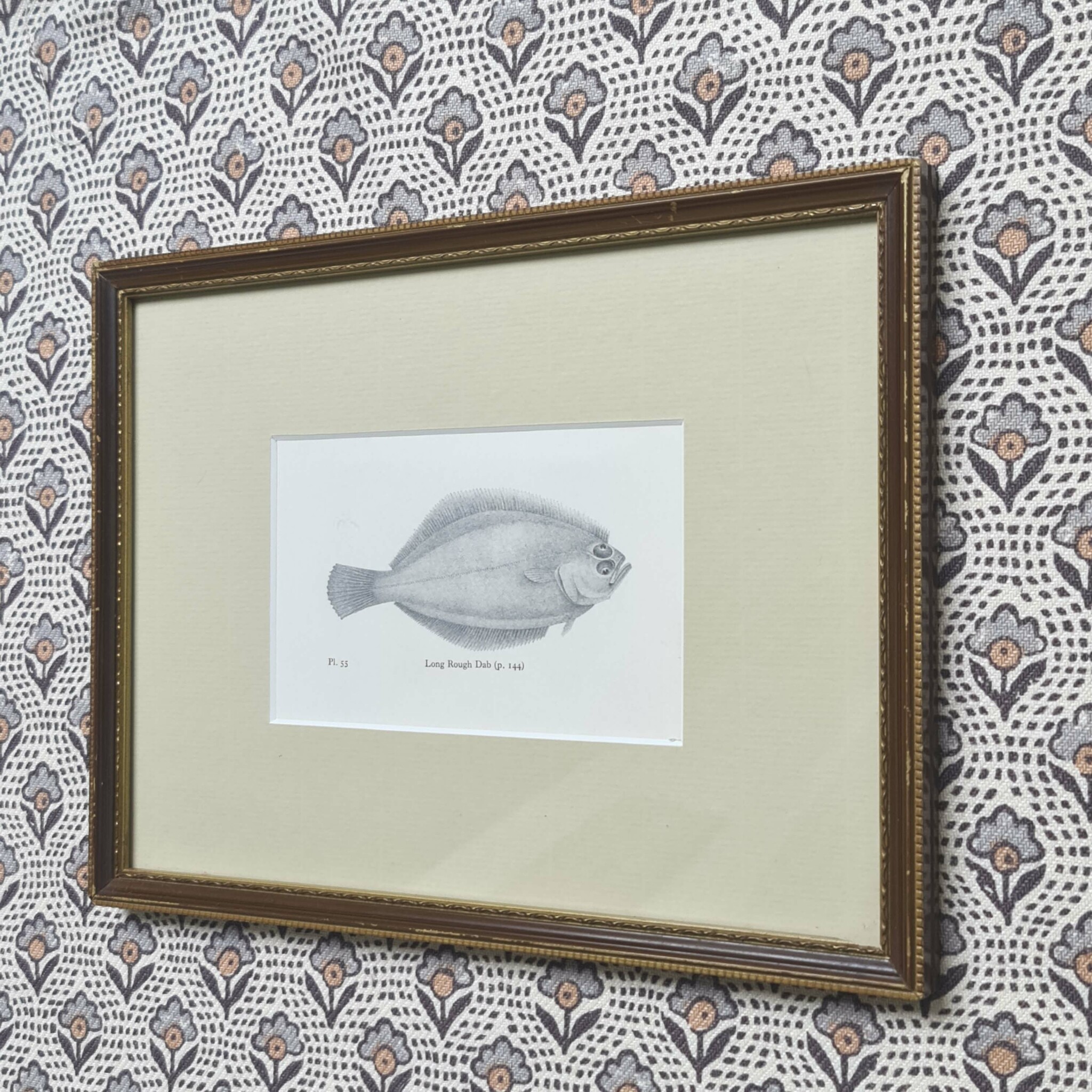 Pair of Antique Fish Prints | Hand Painted Frames