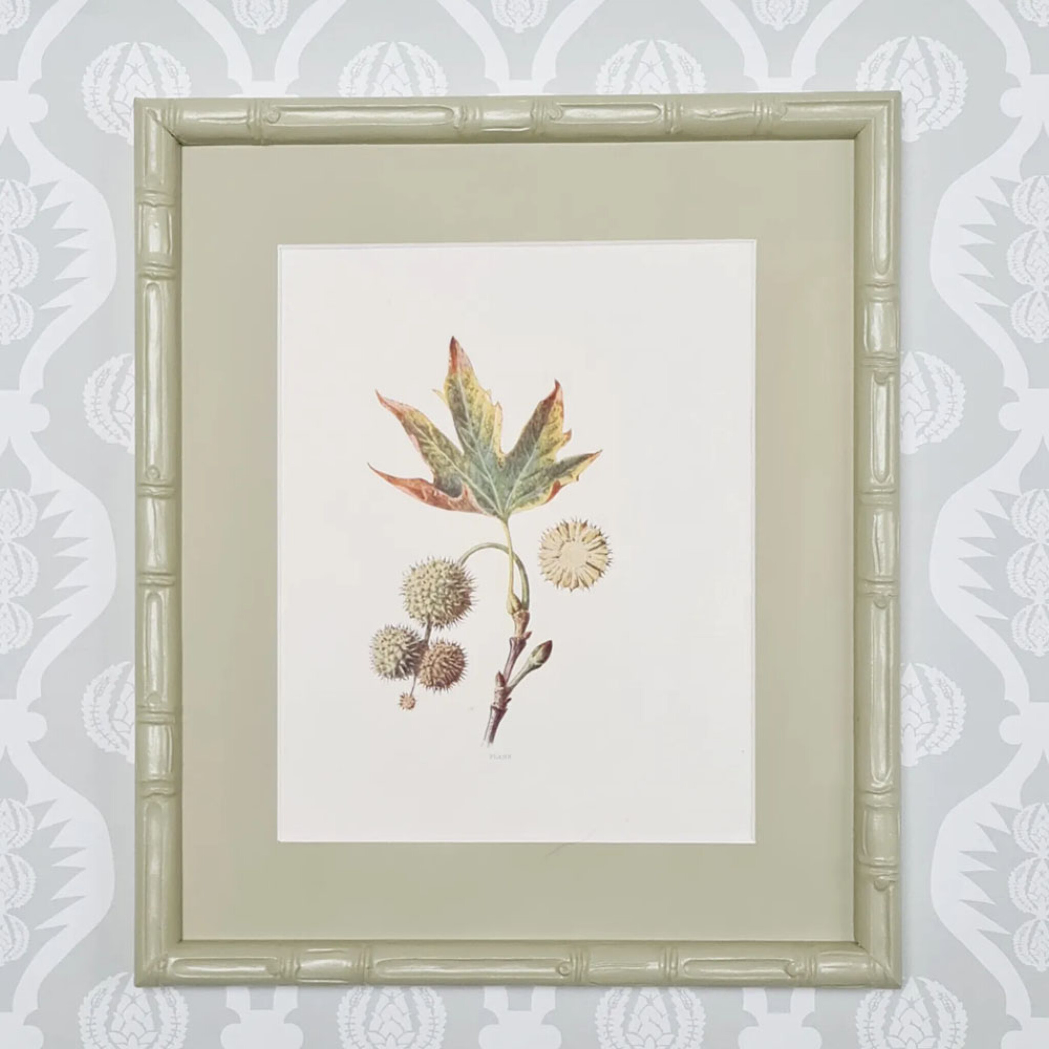 Botanical print | Handpainted Frames