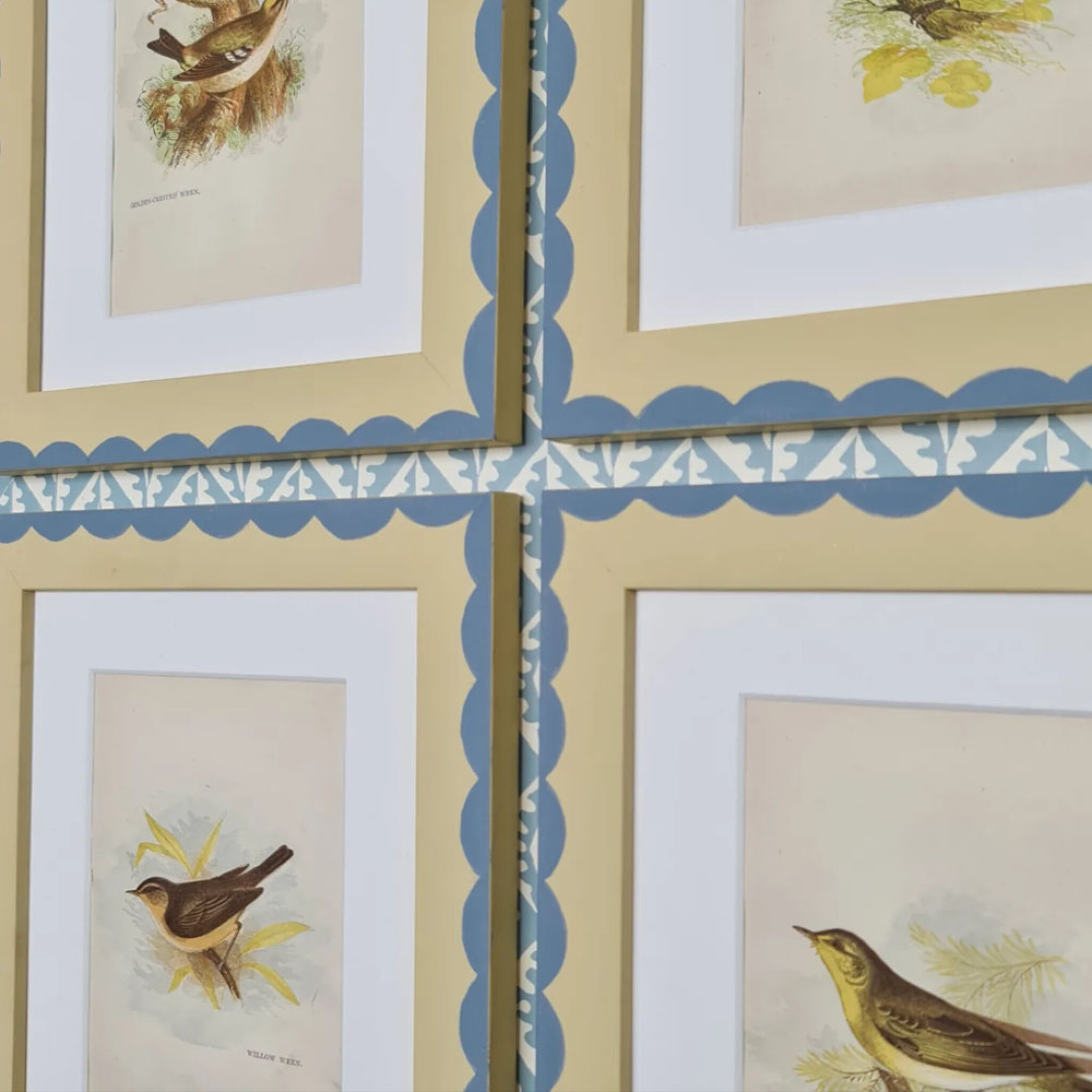 Set of 4 Wren Prints