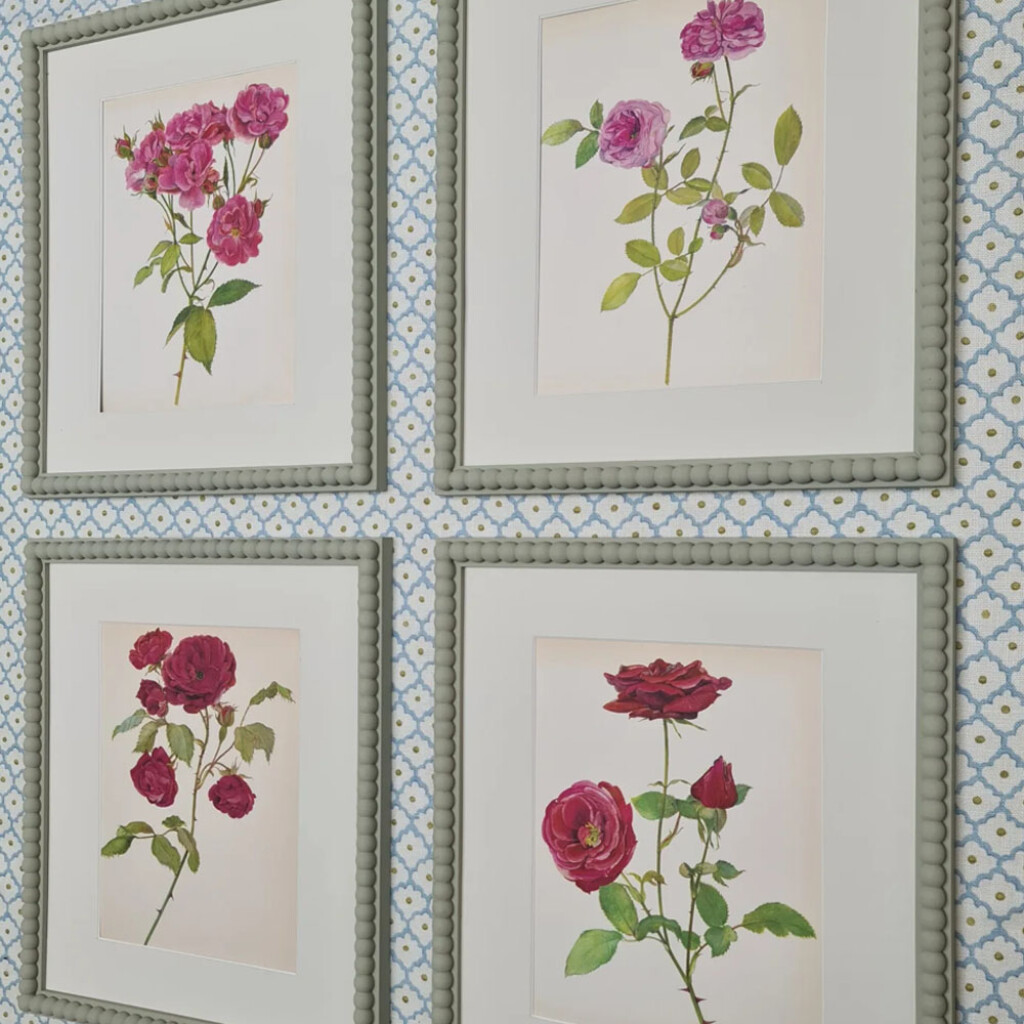 Set of 4 Rose Bird Prints in Bobbin Frames