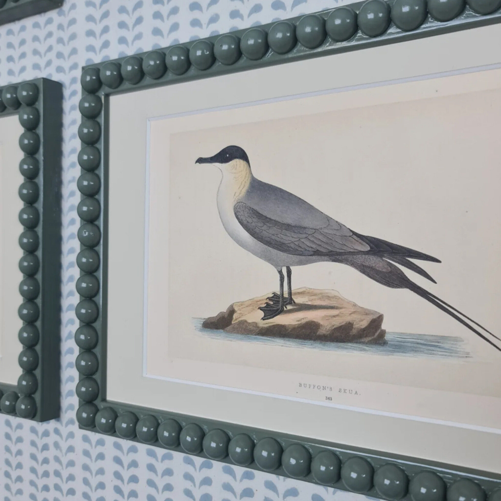 Set of 4 Vintage Bird Prints Bobbin Frames