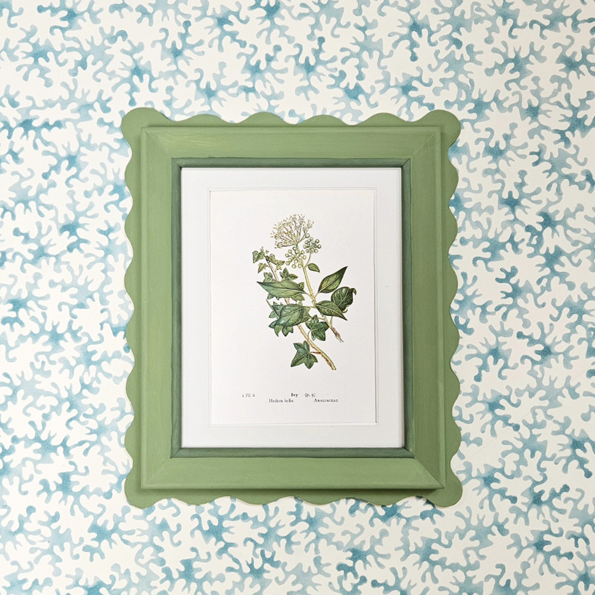 Set of 4 Botanical Prints in Wavy Frames